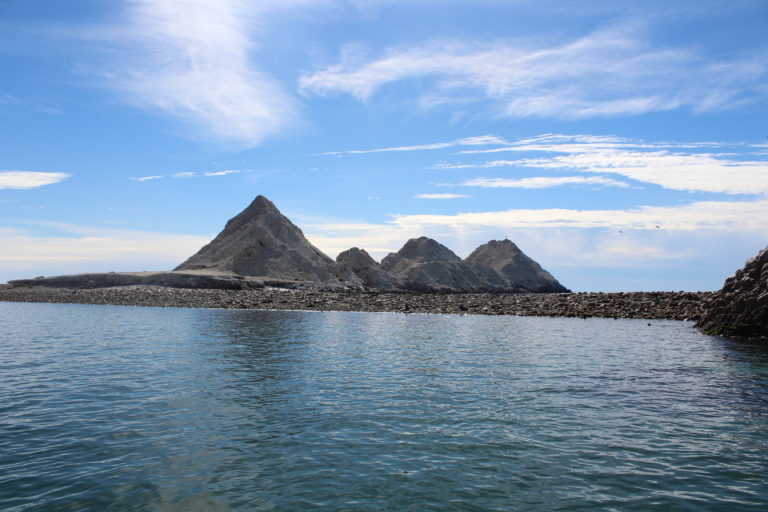 BIRD ISLAND TOUR - Rocky Point Bird Island Tour